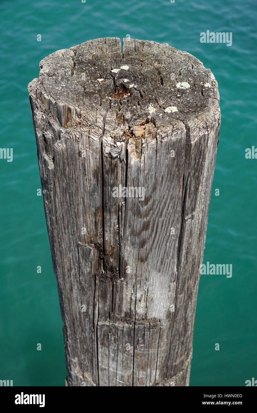 Old pier poles Stock Photo - Alamy
