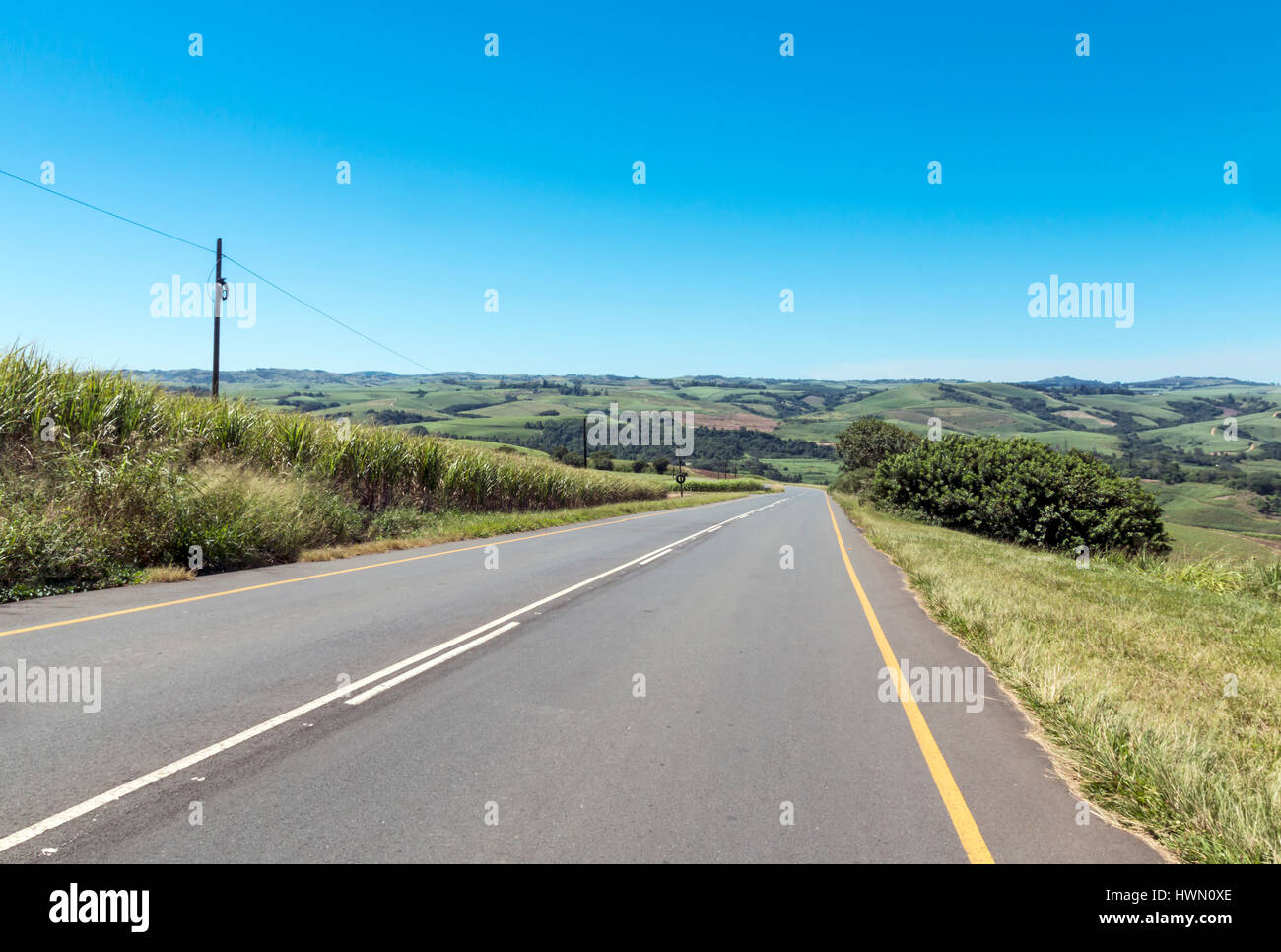 Rural asphalt country road running through sugar cane fields against ...
