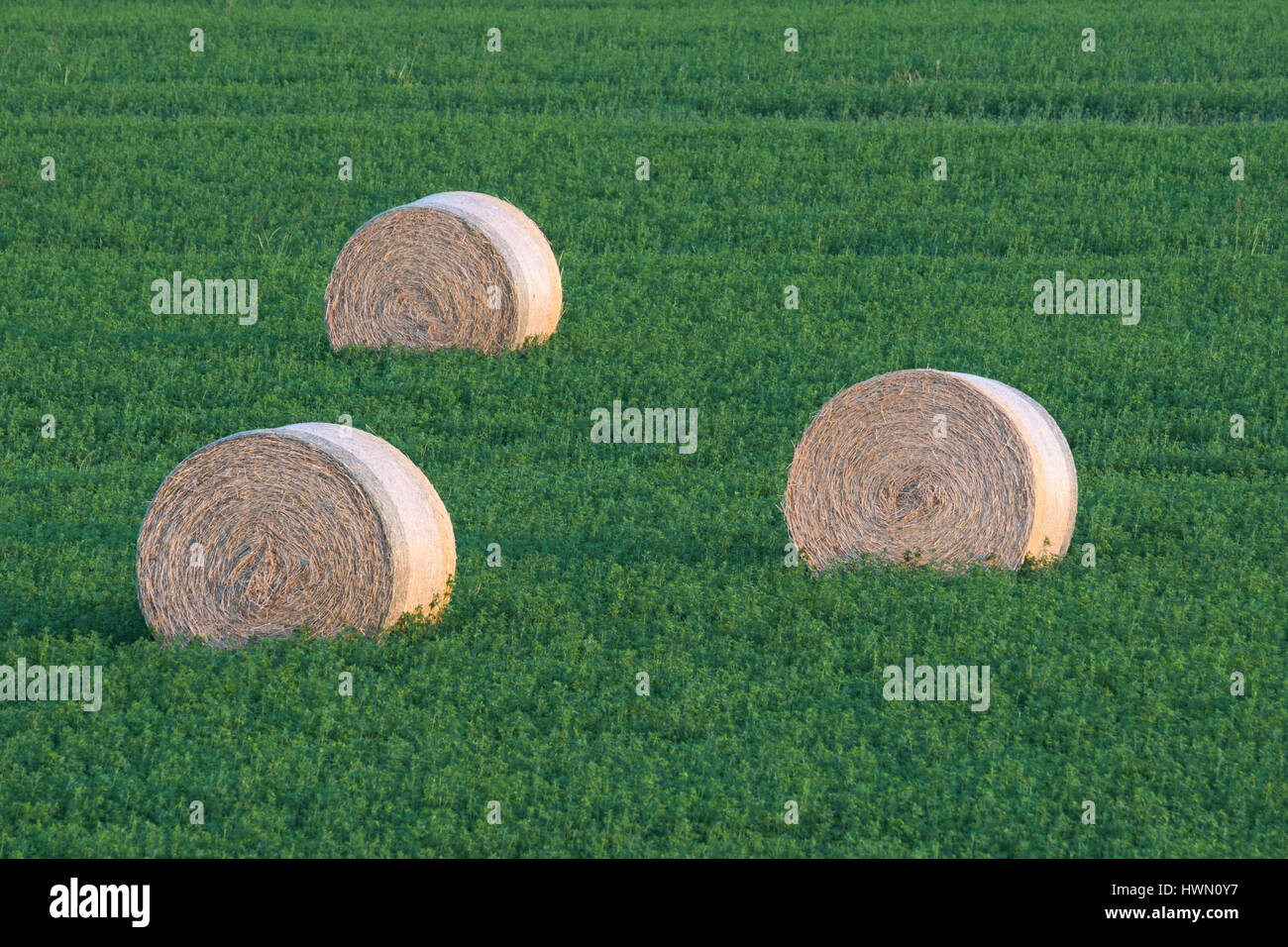 three bales of hay Stock Photo - Alamy