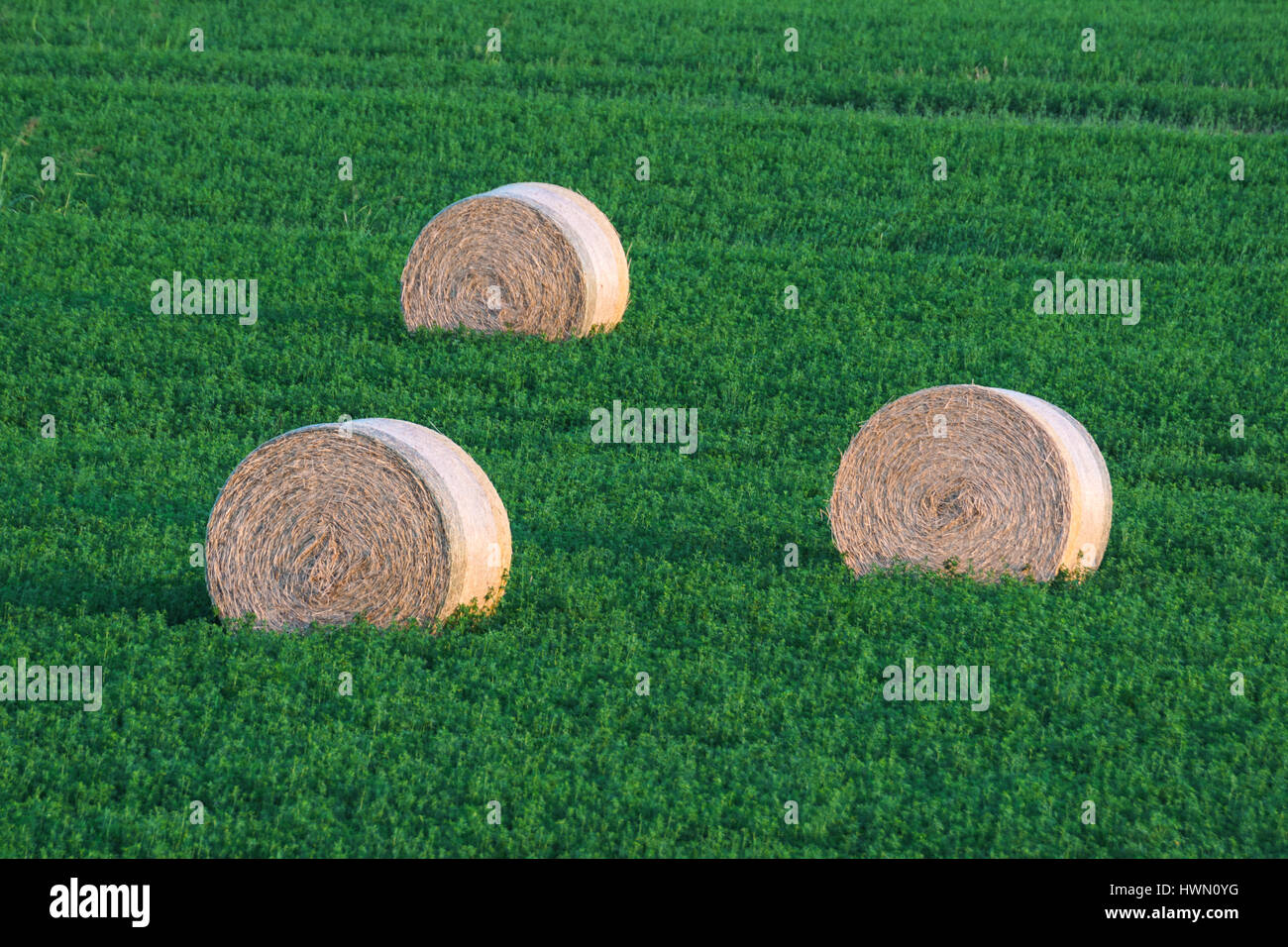 three bales of hay Stock Photo - Alamy