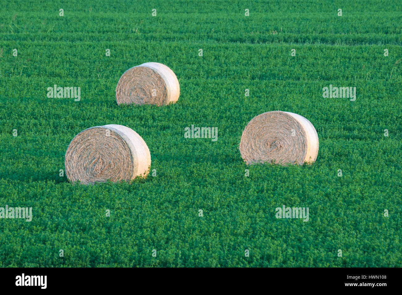 three bales of hay Stock Photo - Alamy