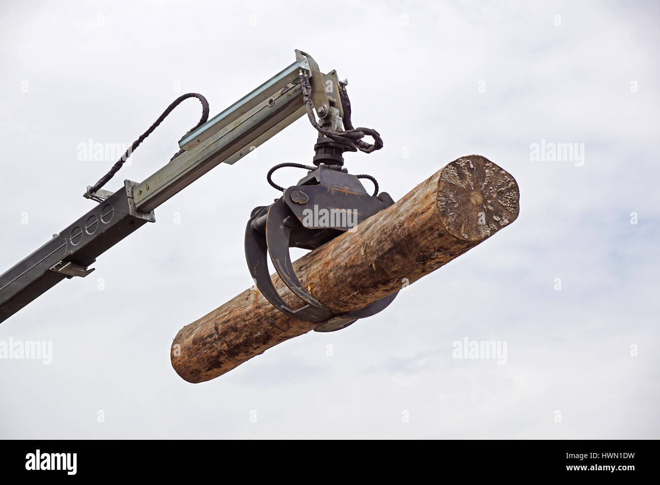 A Powerful Tree Logger Lifting Crane Stock Photo - Alamy