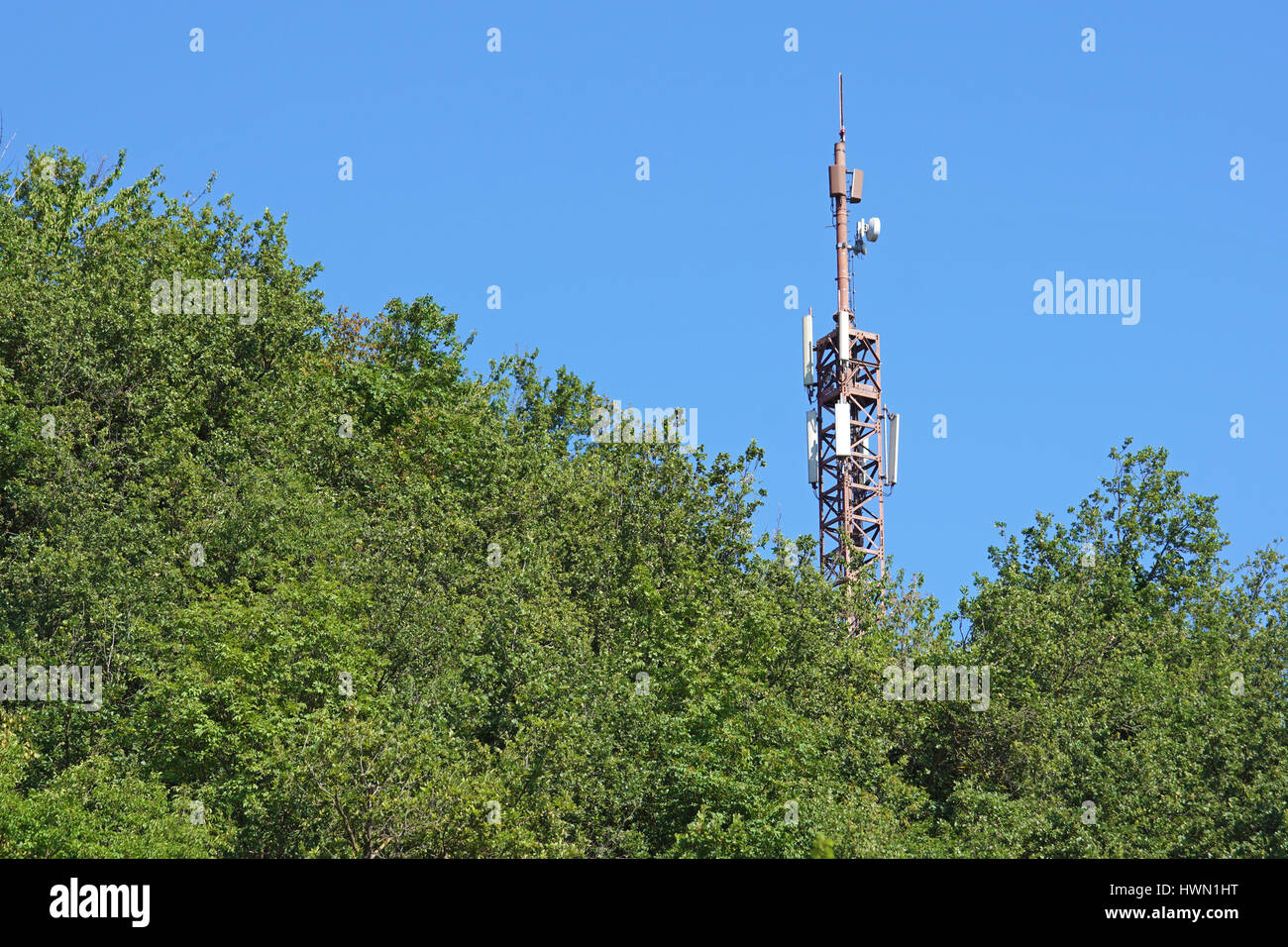 cell tower n the woods Stock Photo - Alamy