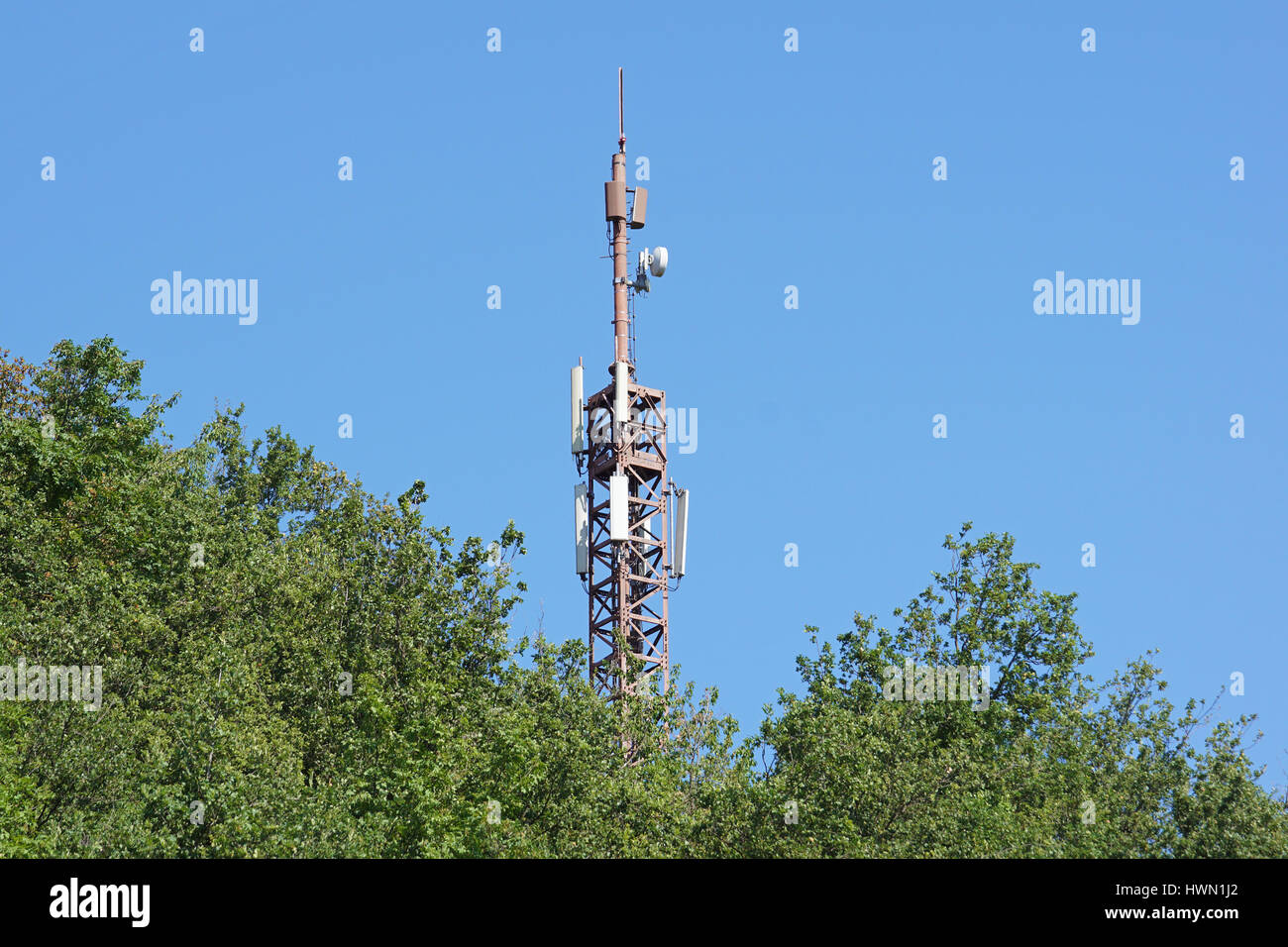 cell tower n the woods Stock Photo - Alamy