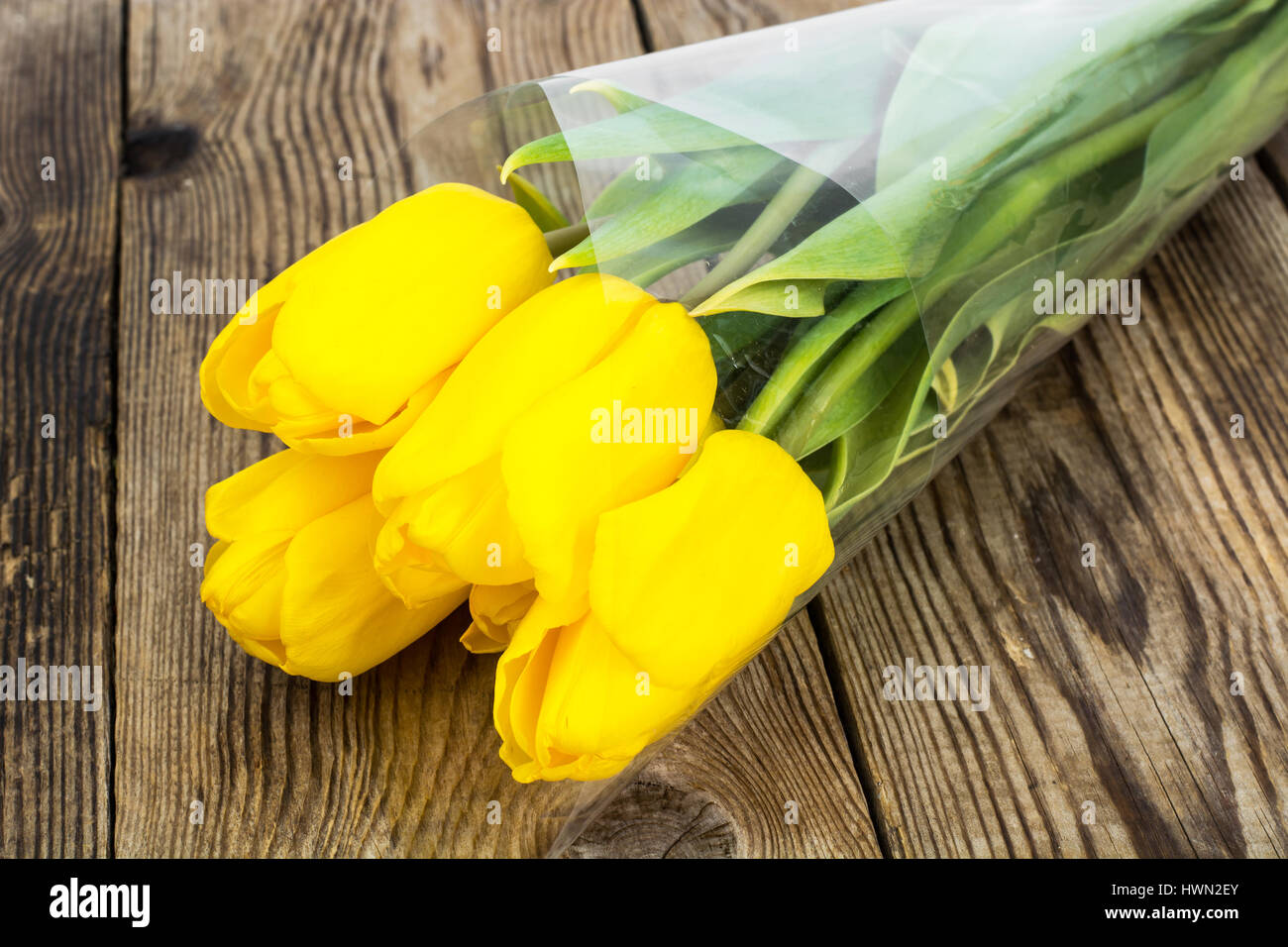 Bouquet of tulips cellophane hi-res stock photography and images - Alamy