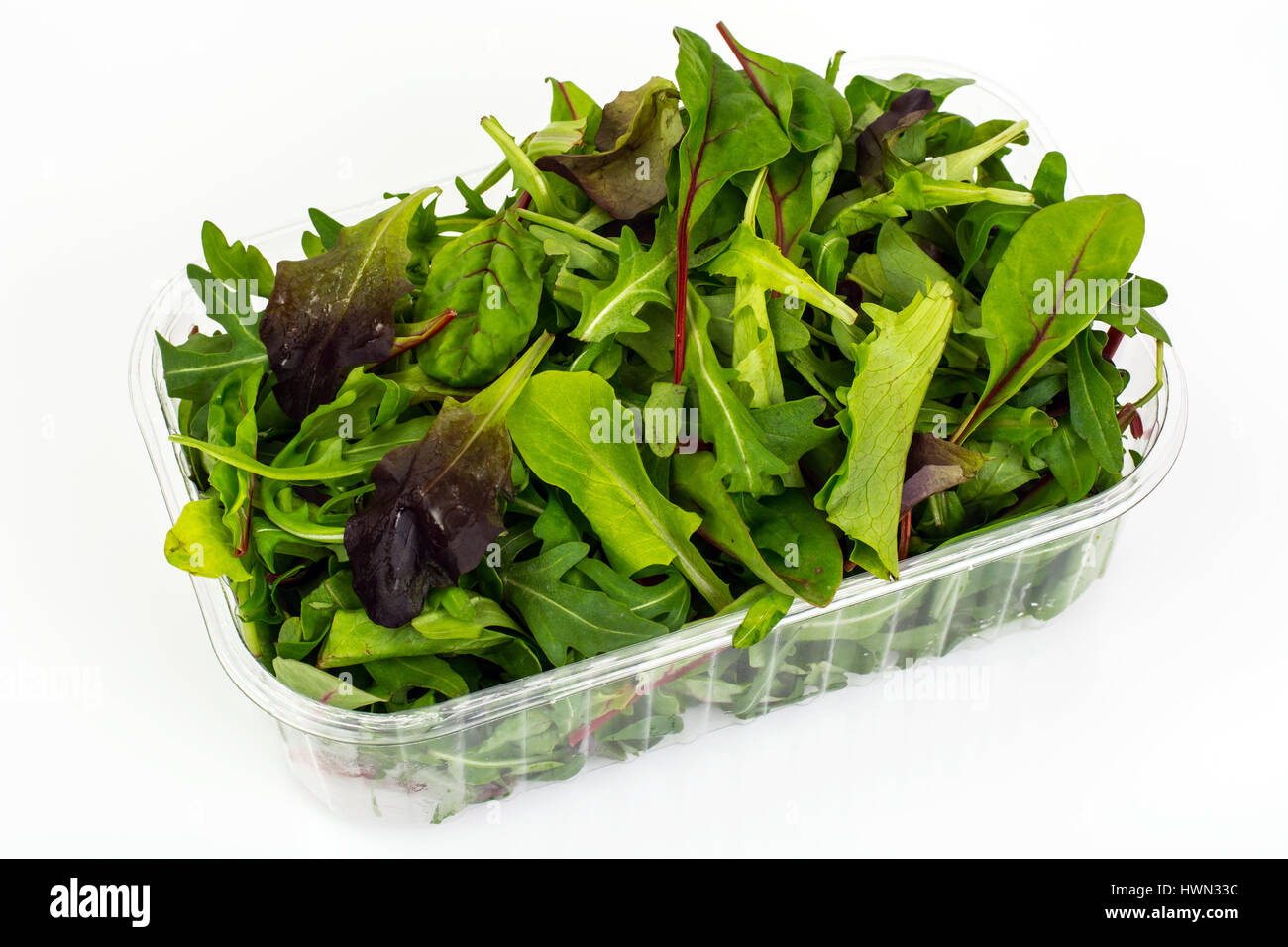 Healthy eating of arugula, mitsuna, chard, red mustard in plasti Stock ...