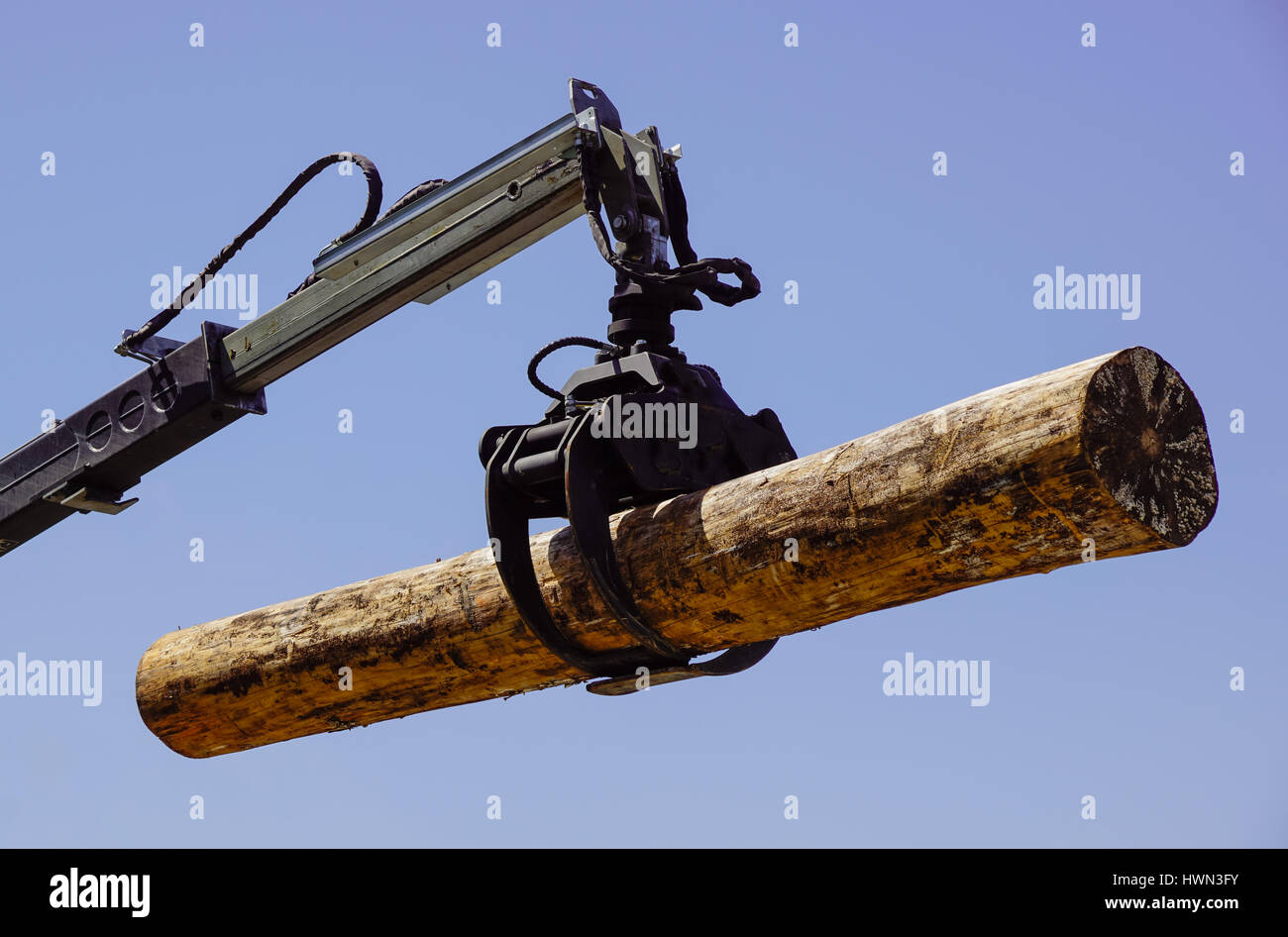 A Powerful Tree Logger at work on wood Stock Photo - Alamy