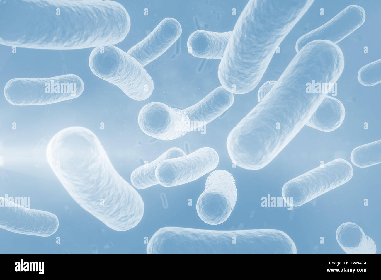 Digital image of blue bacteria in human body Stock Photo - Alamy