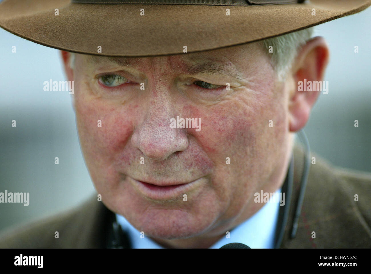 Martin pipe horse hi-res stock photography and images - Alamy
