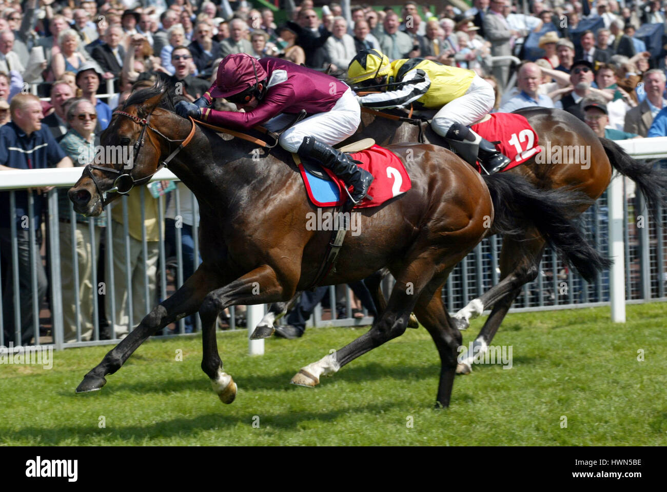 Invincible spirit horse hi-res stock photography and images - Alamy
