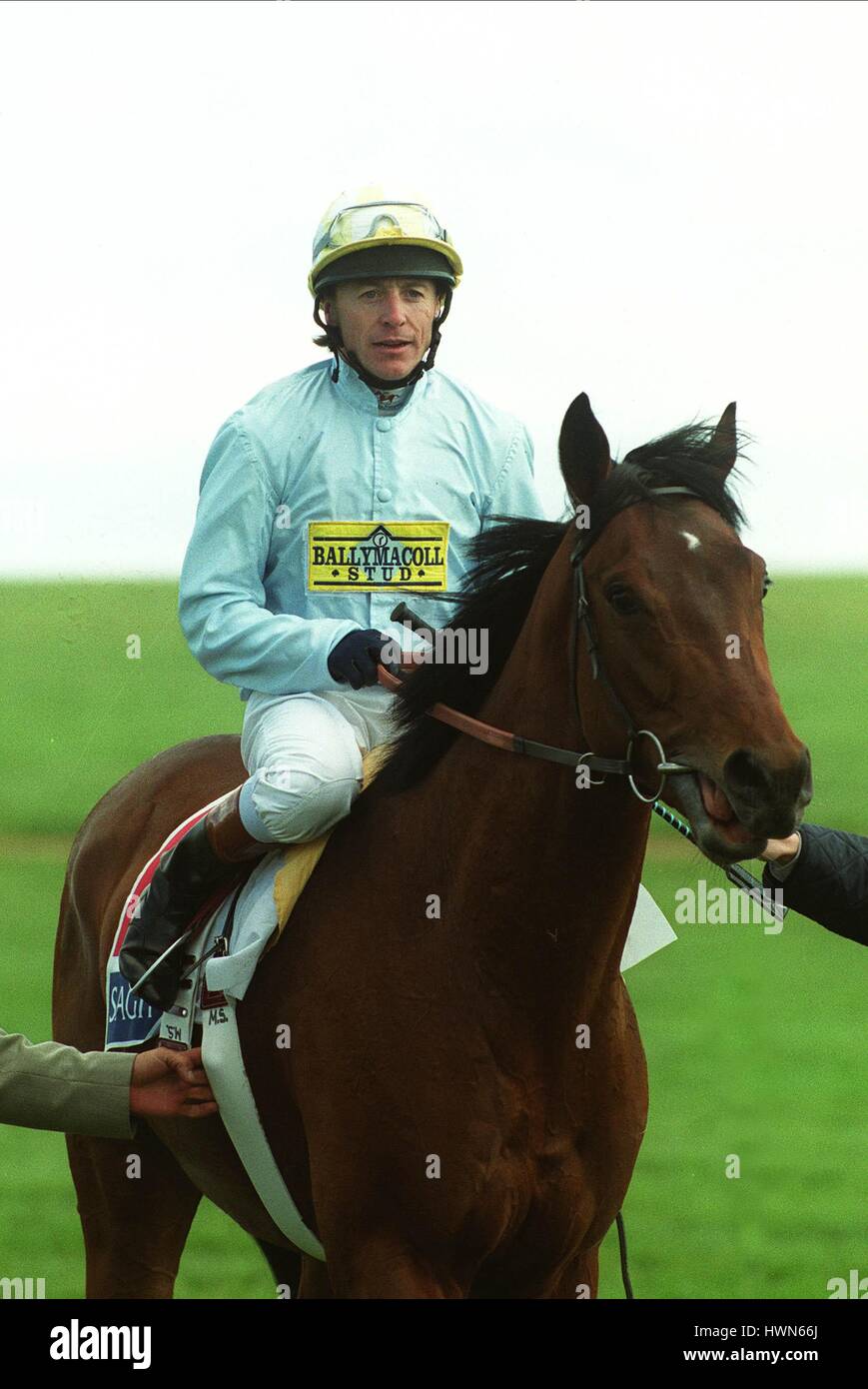 Newmarket racecourse 2000 hi-res stock photography and images - Alamy