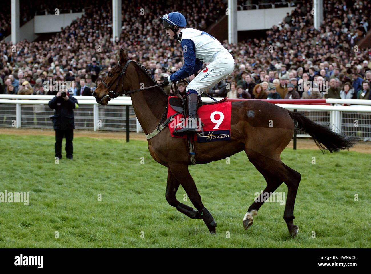 Galileo horse hi-res stock photography and images - Alamy