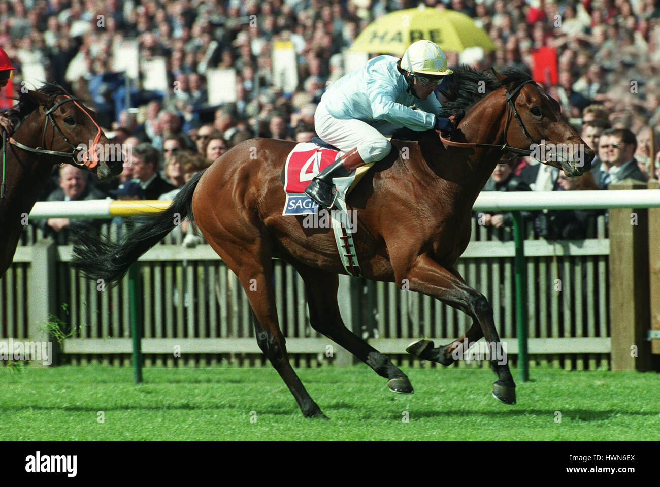 Newmarket racecourse 2000 hi-res stock photography and images - Alamy