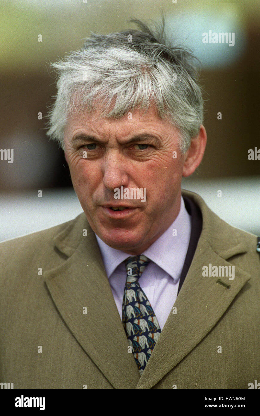 Toller hi-res stock photography and images - Alamy