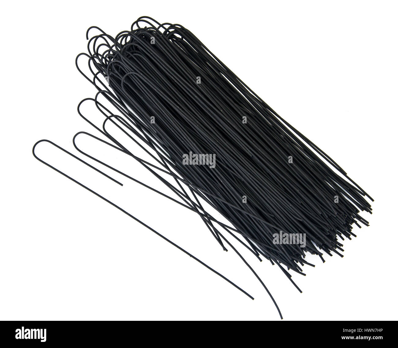 Spaghetti cuttlefish ink Cut Out Stock Images & Pictures - Alamy