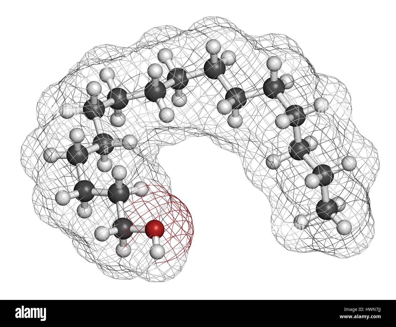 Cetyl (or palmityl) alcohol molecule. Constituent of cetostearyl ...