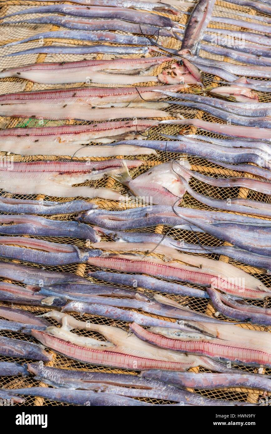 Myanmar (Burma), Rakhine state (or Arakan state), Thandwe district ...