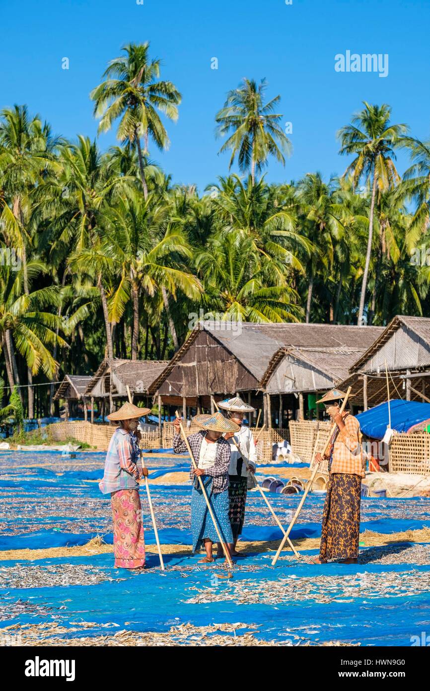 Myanmar (Burma), Rakhine state (or Arakan state), Thandwe district ...