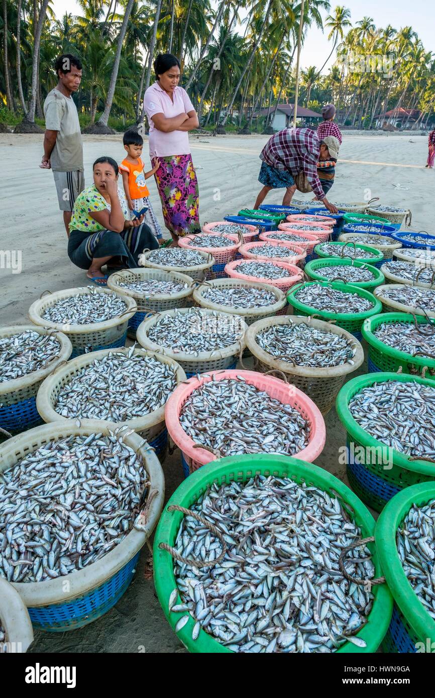 Myanmar (Burma), Rakhine state (or Arakan state), Thandwe district ...