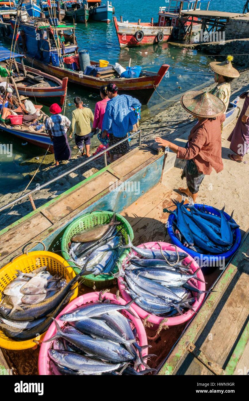 Myanmar (Burma), Rakhine state (or Arakan state), Thandwe district ...