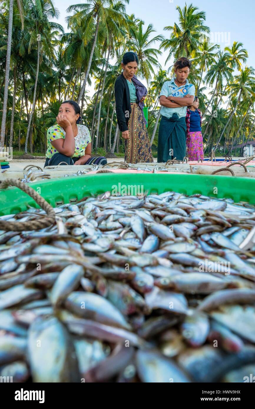 Arakan fisherman hi-res stock photography and images - Alamy