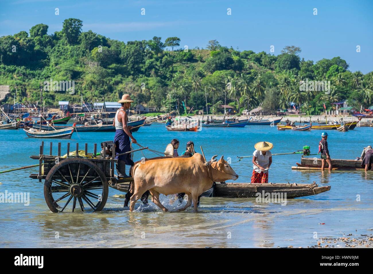 Myanmar (Burma), Rakhine state (or Arakan state), Thandwe district ...
