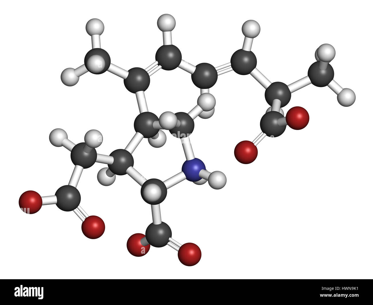 Domoic acid algae poison molecule. Responsible for amnesic shellfish ...