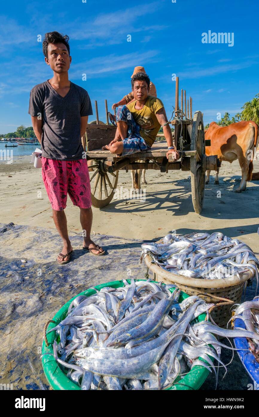 Myanmar (Burma), Rakhine state (or Arakan state), Thandwe district ...