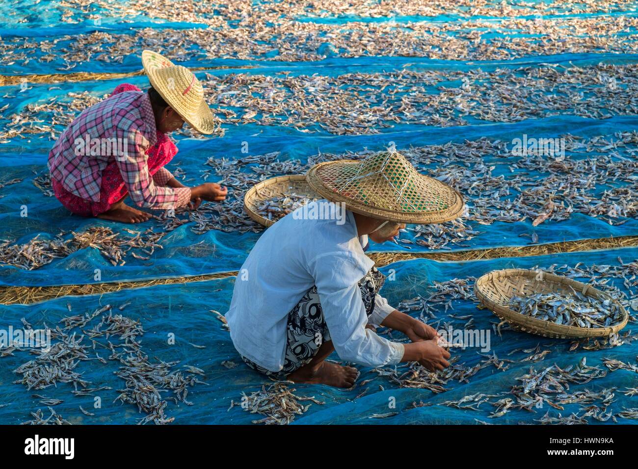 Myanmar (Burma), Rakhine state (or Arakan state), Thandwe district ...