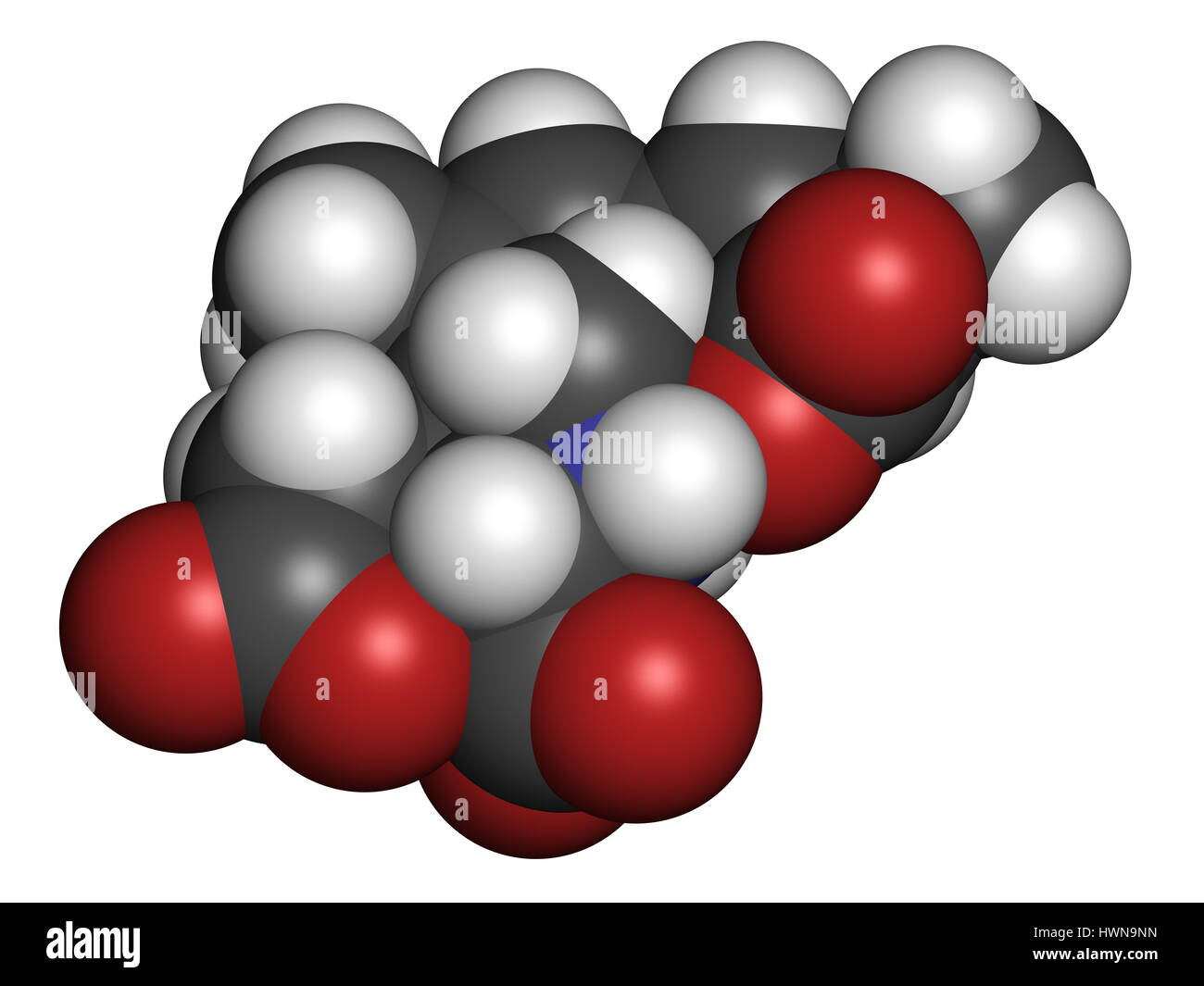Domoic acid algae poison molecule. Responsible for amnesic shellfish ...