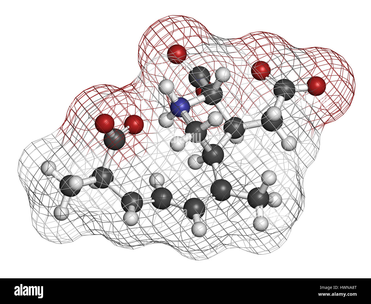 Domoic acid algae poison molecule. Responsible for amnesic shellfish ...