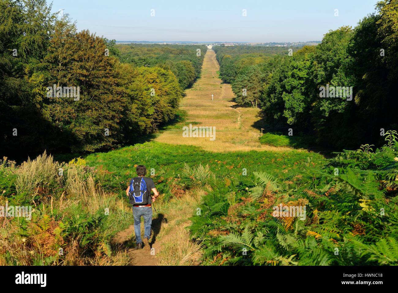 Compiegne forest hi-res stock photography and images - Alamy