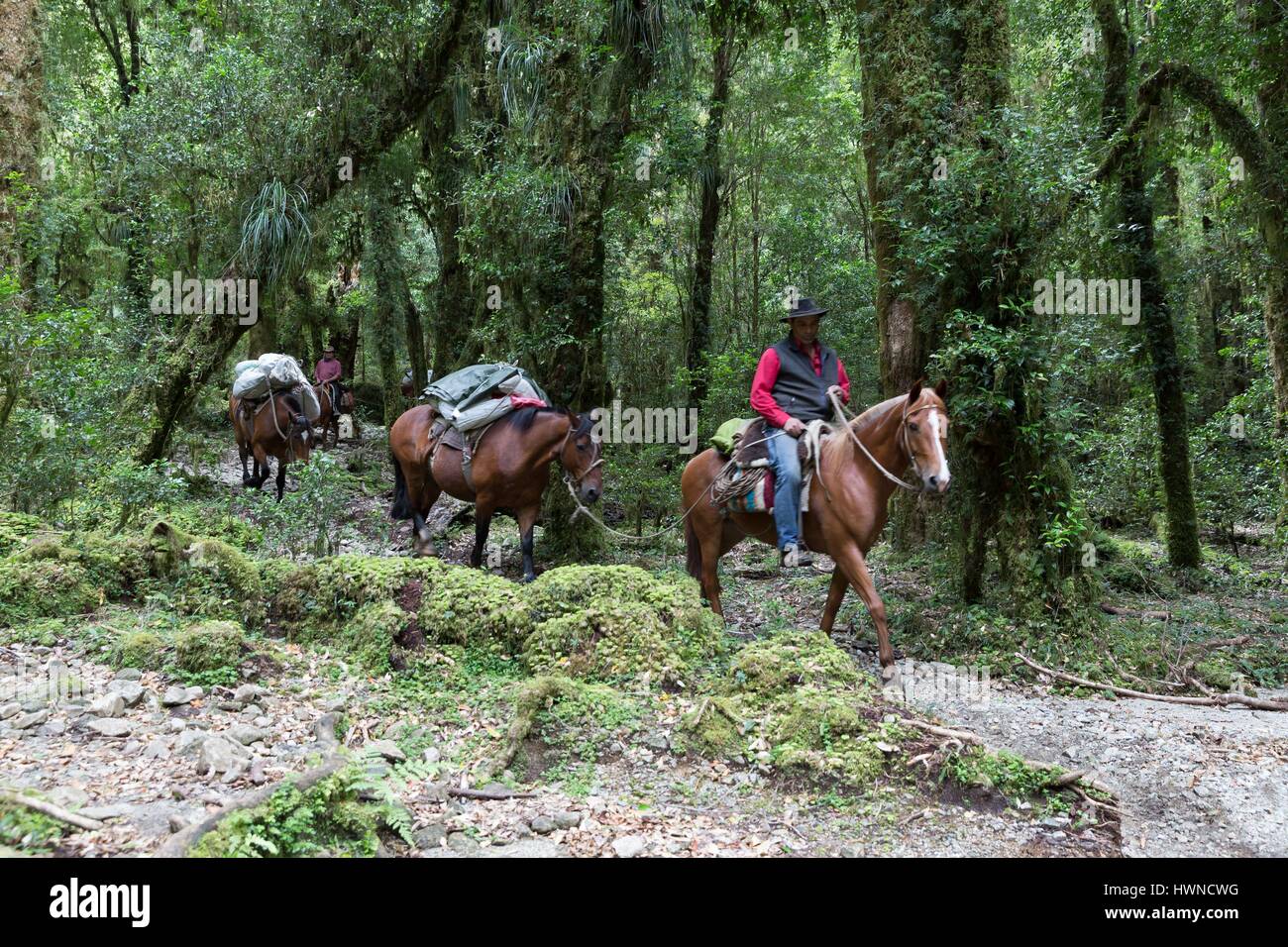 Cochamo valley hi-res stock photography and images - Alamy