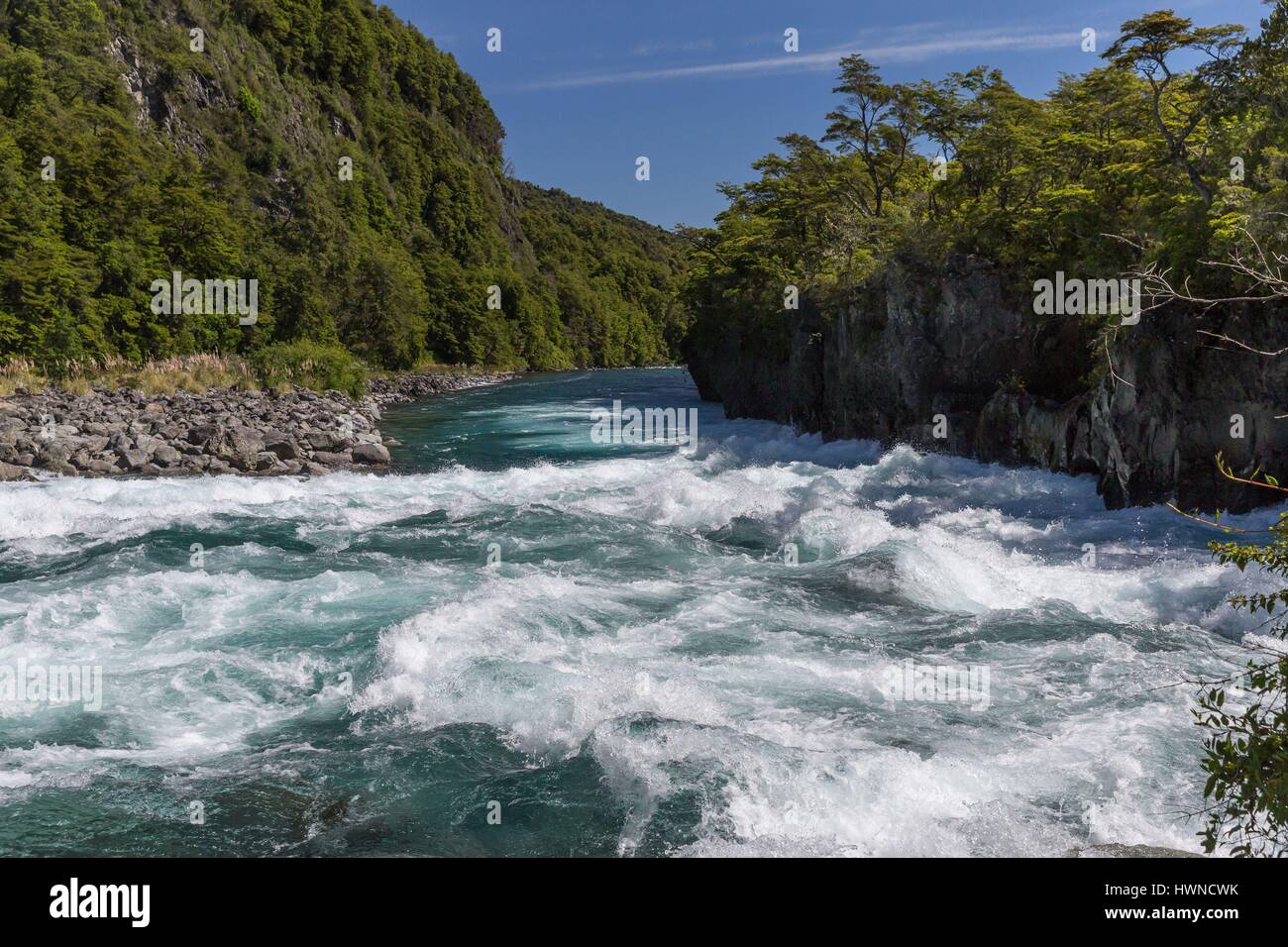 Chile, Los Lagos region, Patagonia, Vicente Perez Rosales National Park ...
