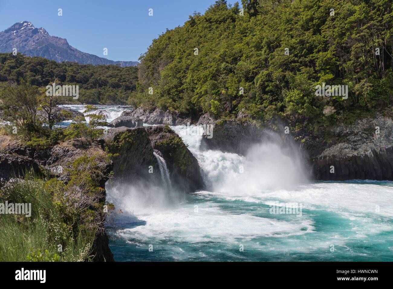 Chile, Los Lagos region, Patagonia, Vicente Perez Rosales National Park ...