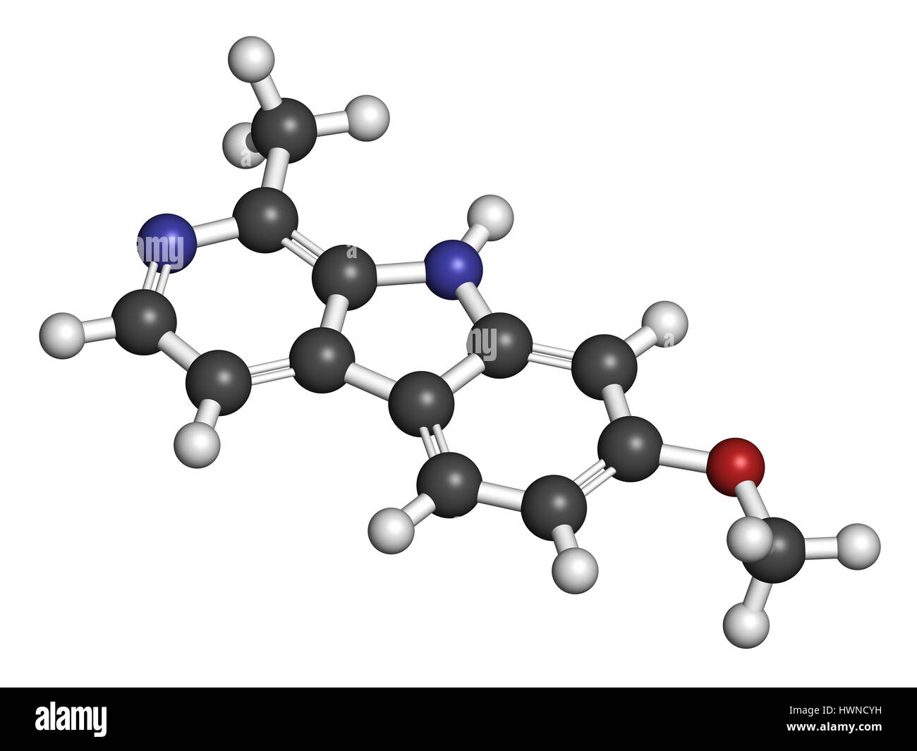 Monoamine oxidase a hi-res stock photography and images - Alamy