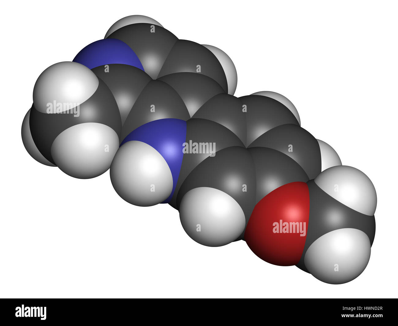 Monoamine oxidase hi-res stock photography and images - Alamy
