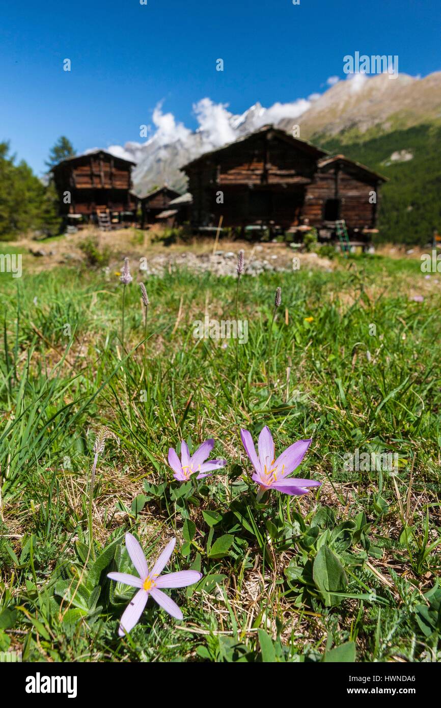 Switzerland, Canton of Valais, Zermatt station at the foot of the ...