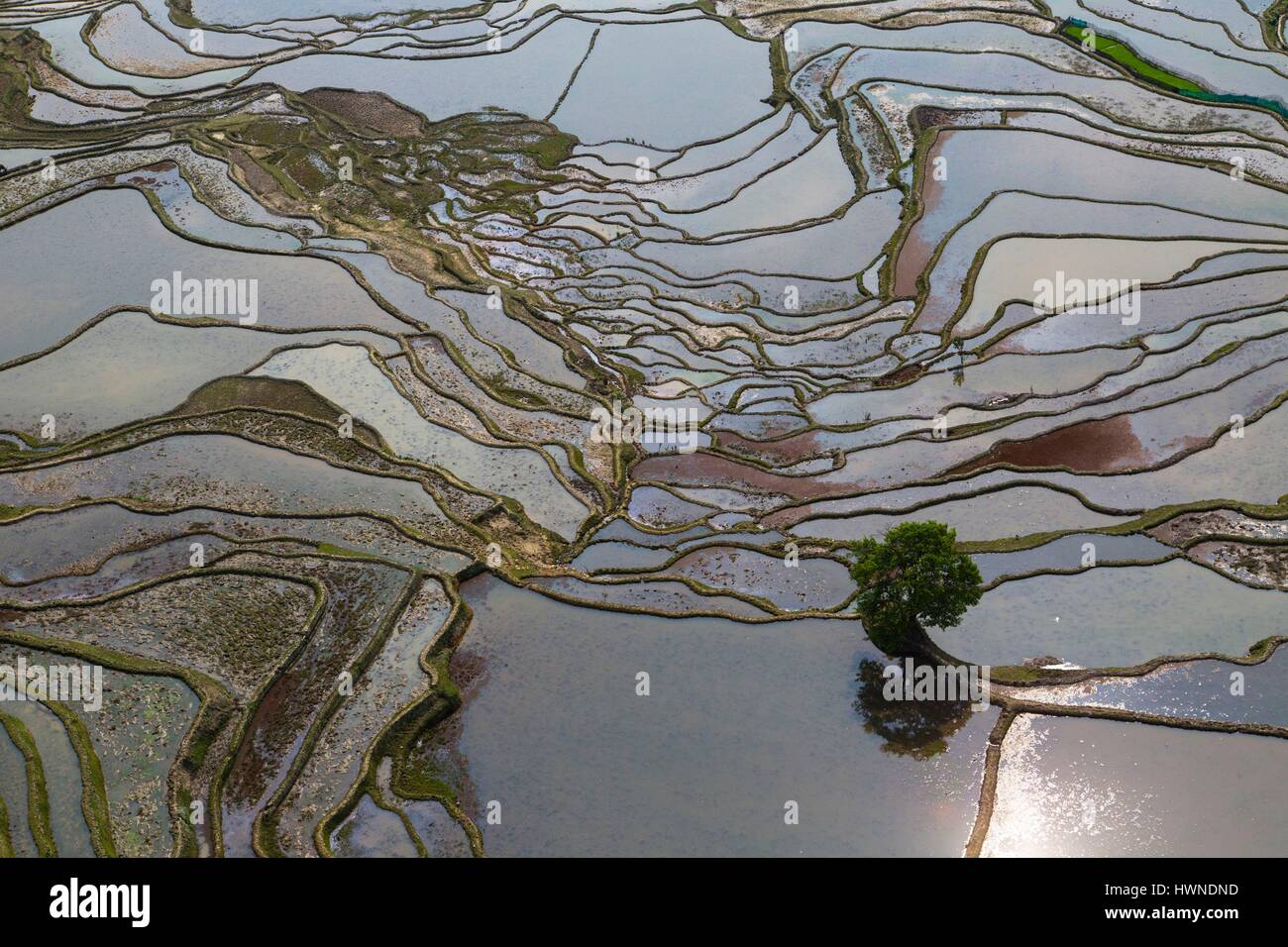 Honghe hani and yi autonomous prefecture hi-res stock photography and ...