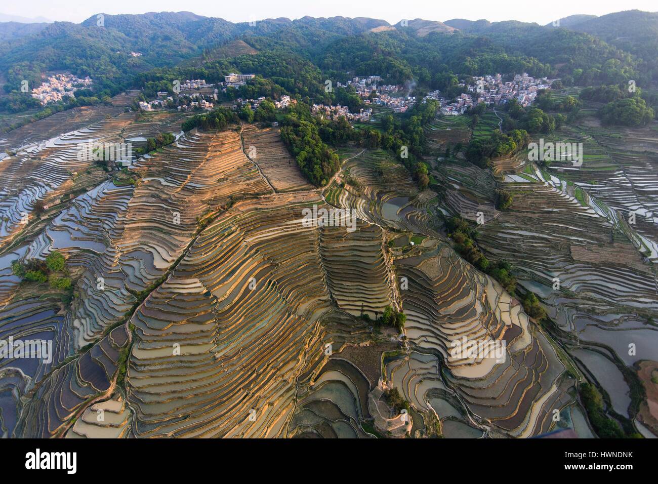 China, Yunnan State, Honghe District, Yuanyang city, Mount Ailao ...