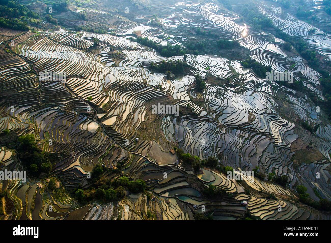 China, Yunnan State, Honghe District, Yuanyang city, Mount Ailao ...