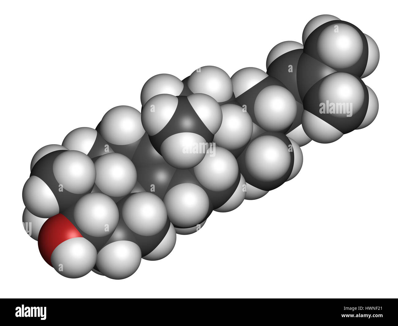Lanosterol High Resolution Stock Photography and Images - Alamy