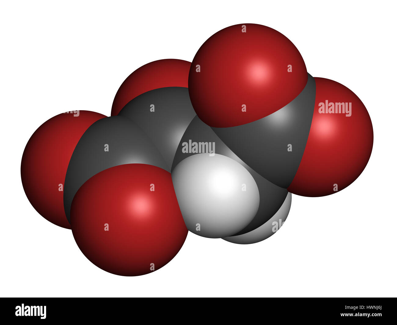 Oxaloacetic Acid Oxaloacetate Metabolic Intermediate Molecule 3d
