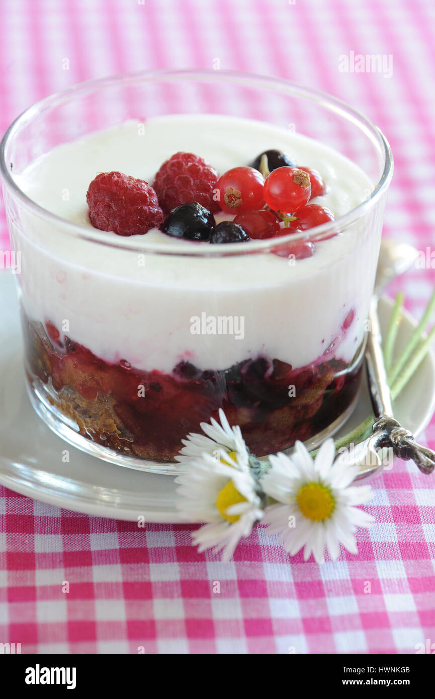 Tiramisu With Fruits High Resolution Stock Photography and Images - Alamy