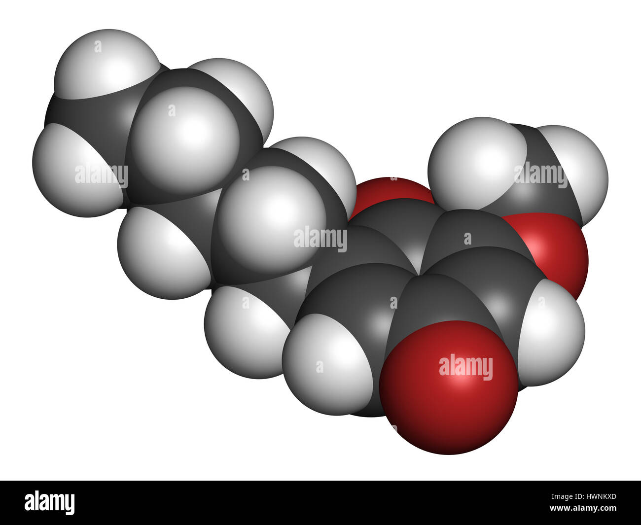 Primin primrose plant allergen molecule. 3D rendering. Atoms are ...