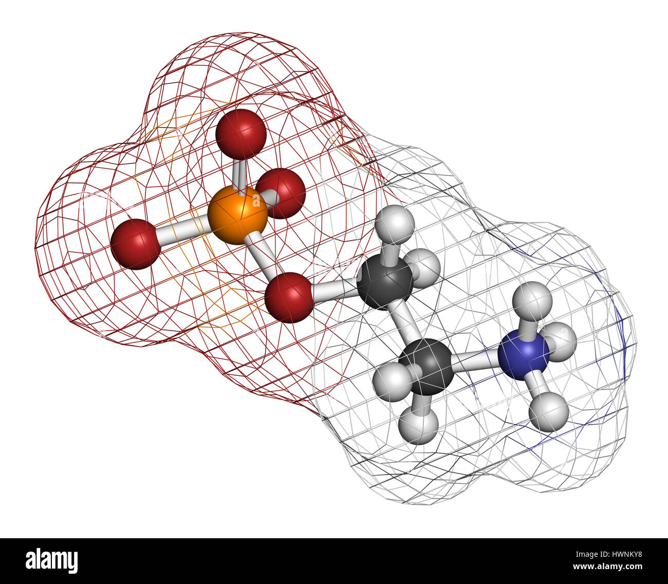 Phosphorylethanolamine (phosphoethanolamine) investigational cancer ...