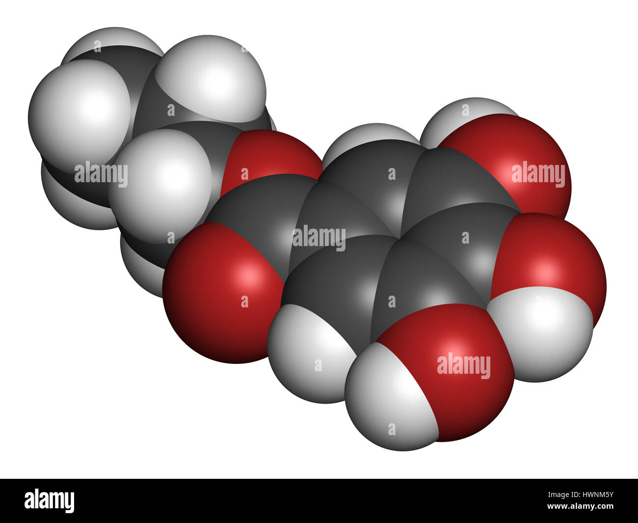 Propyl gallate antioxidant food additive molecule. 3D rendering. Atoms ...