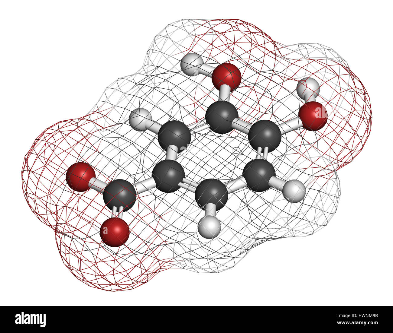 Protocatechuic acid (PCA) green tea antioxidant molecule. 3D rendering ...