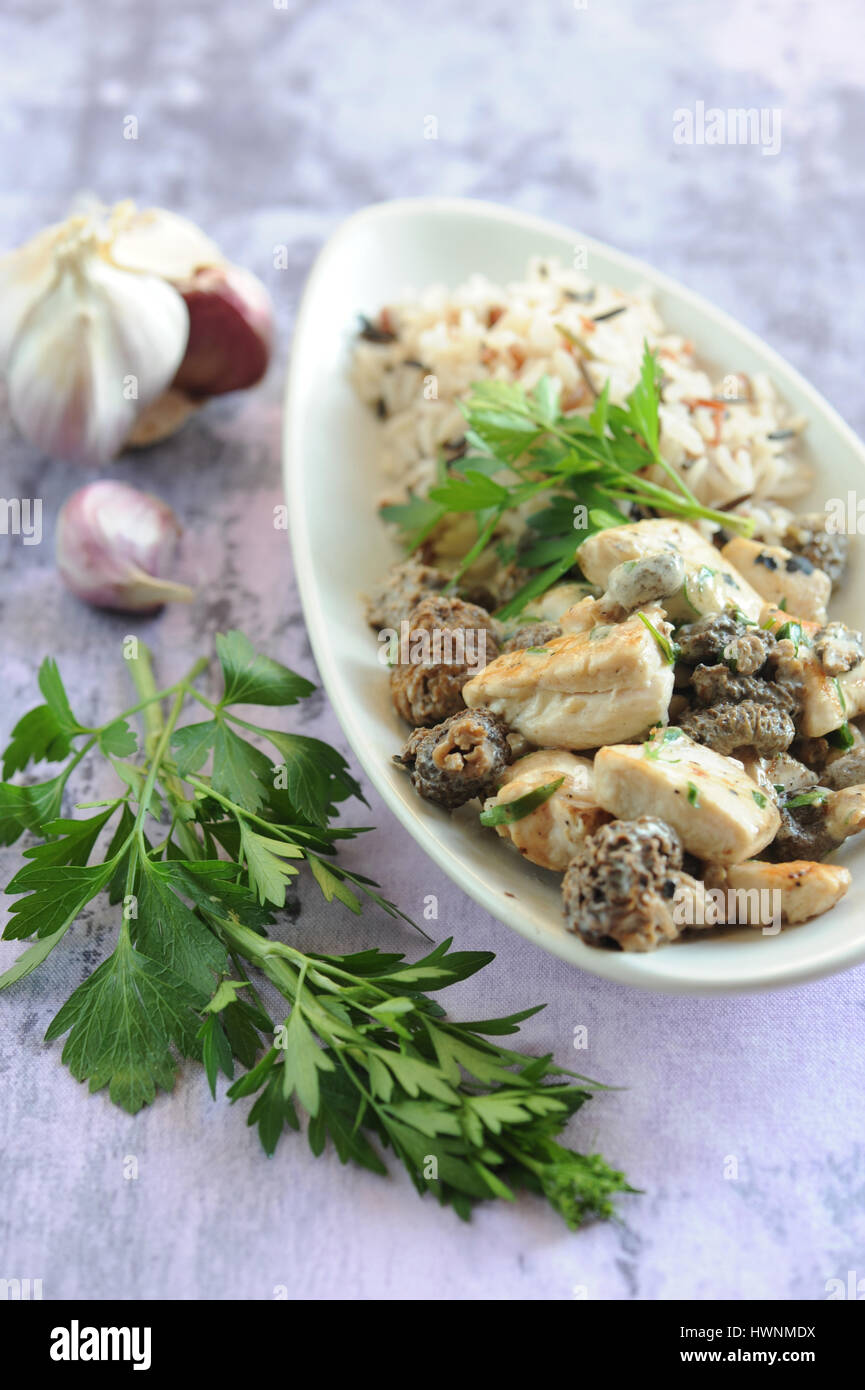 Morilles High Resolution Stock Photography and Images - Alamy