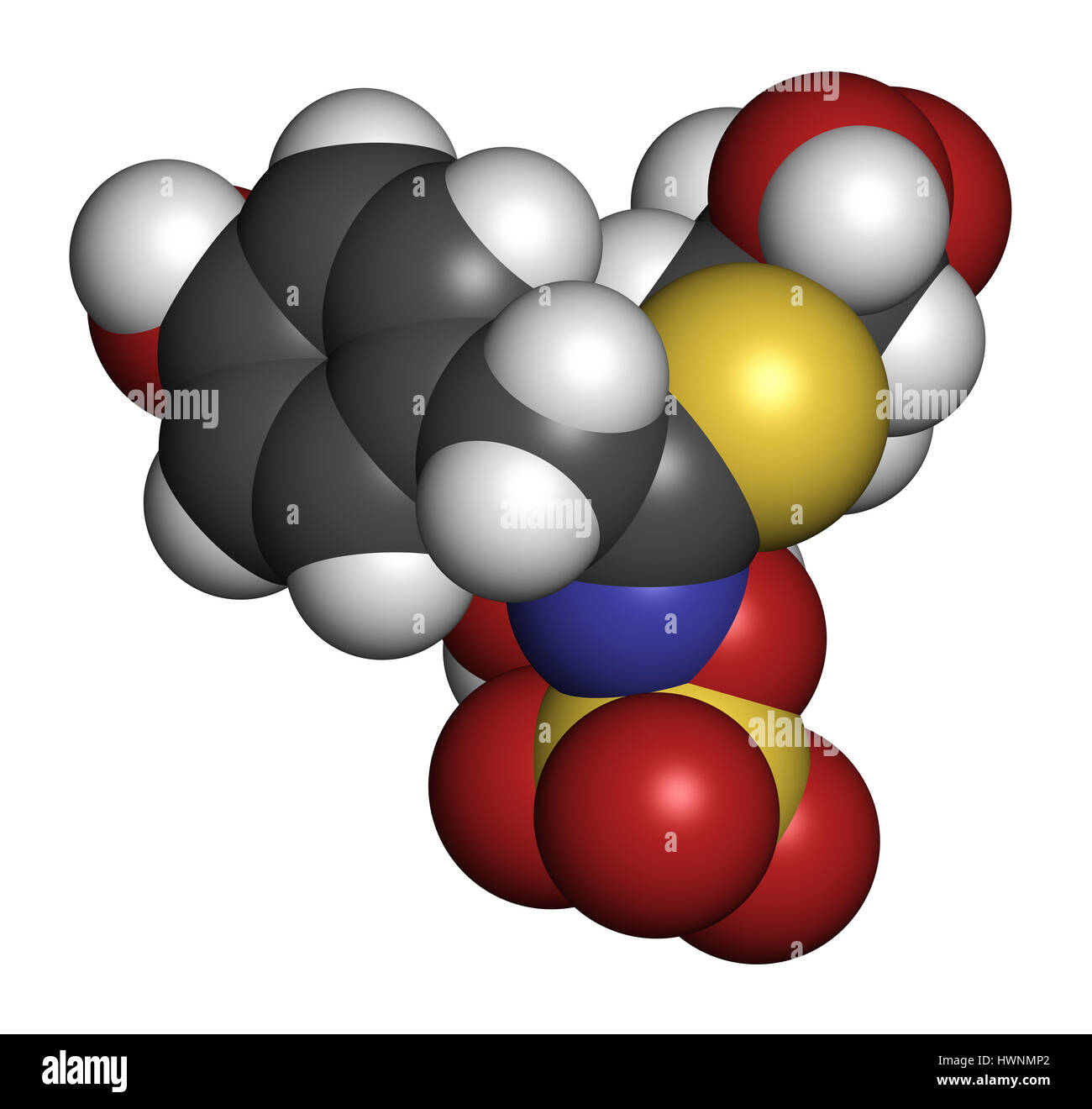 Sinalbin glucosinolate molecule. Present in seeds of white mustard ...